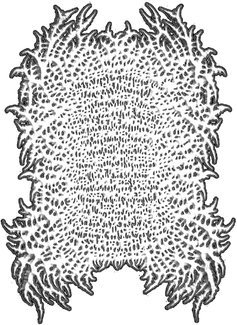 munky pride 2025 - Latvia's Extreme Music Festival